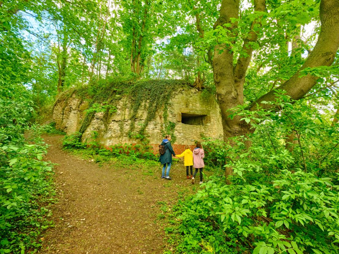 Die Feste Calenberg | Calenberger Land | Urlaubsregion | Sightseeing ...