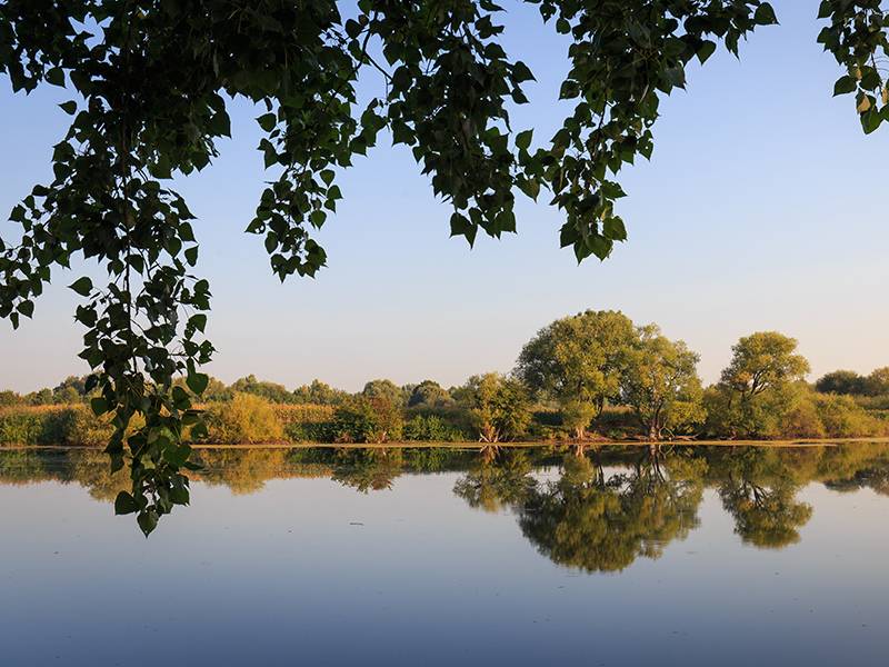 Laghi - Visita Hannover