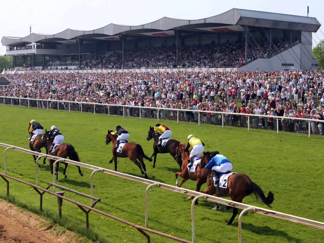 Course hippique de Neue Bult - Visit Hannover