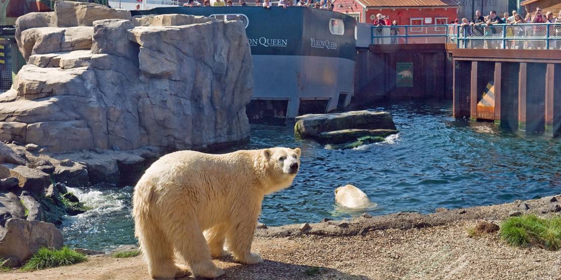 Erlebnis-Zoo Hannover – eine tierische Weltreise - Visit Hannover