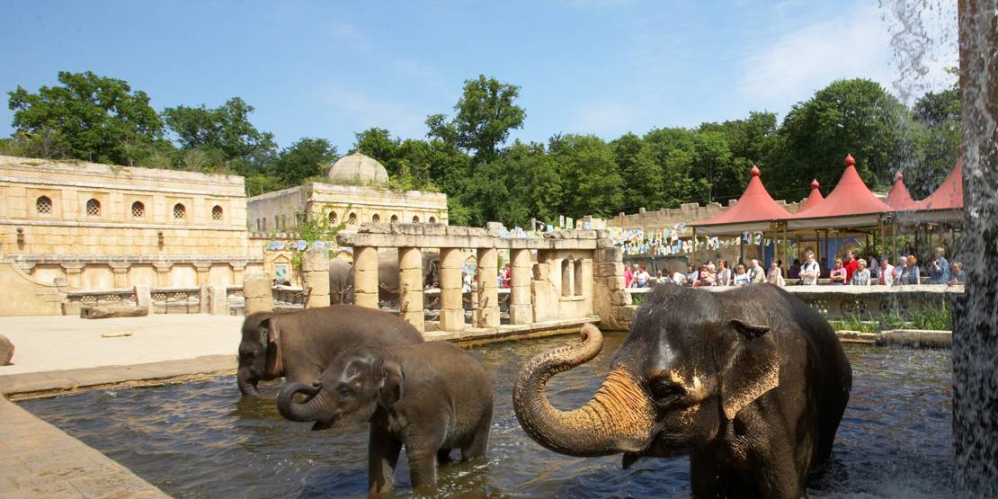 Erlebnis-Zoo Hannover - Visit Hannover