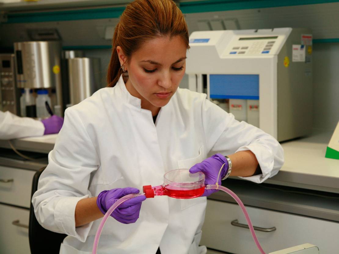 Healthcare City Hannover | Wissenschaft und Forschung | Hannoverweb