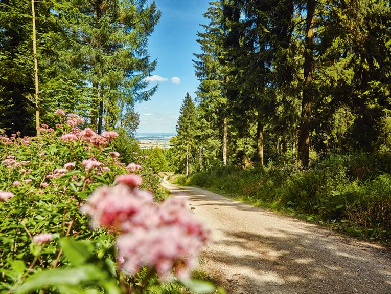 Kulturlandschaft Deister | Visit Hannover - Visit Hannover